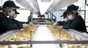 Nuestra Planta – Growex